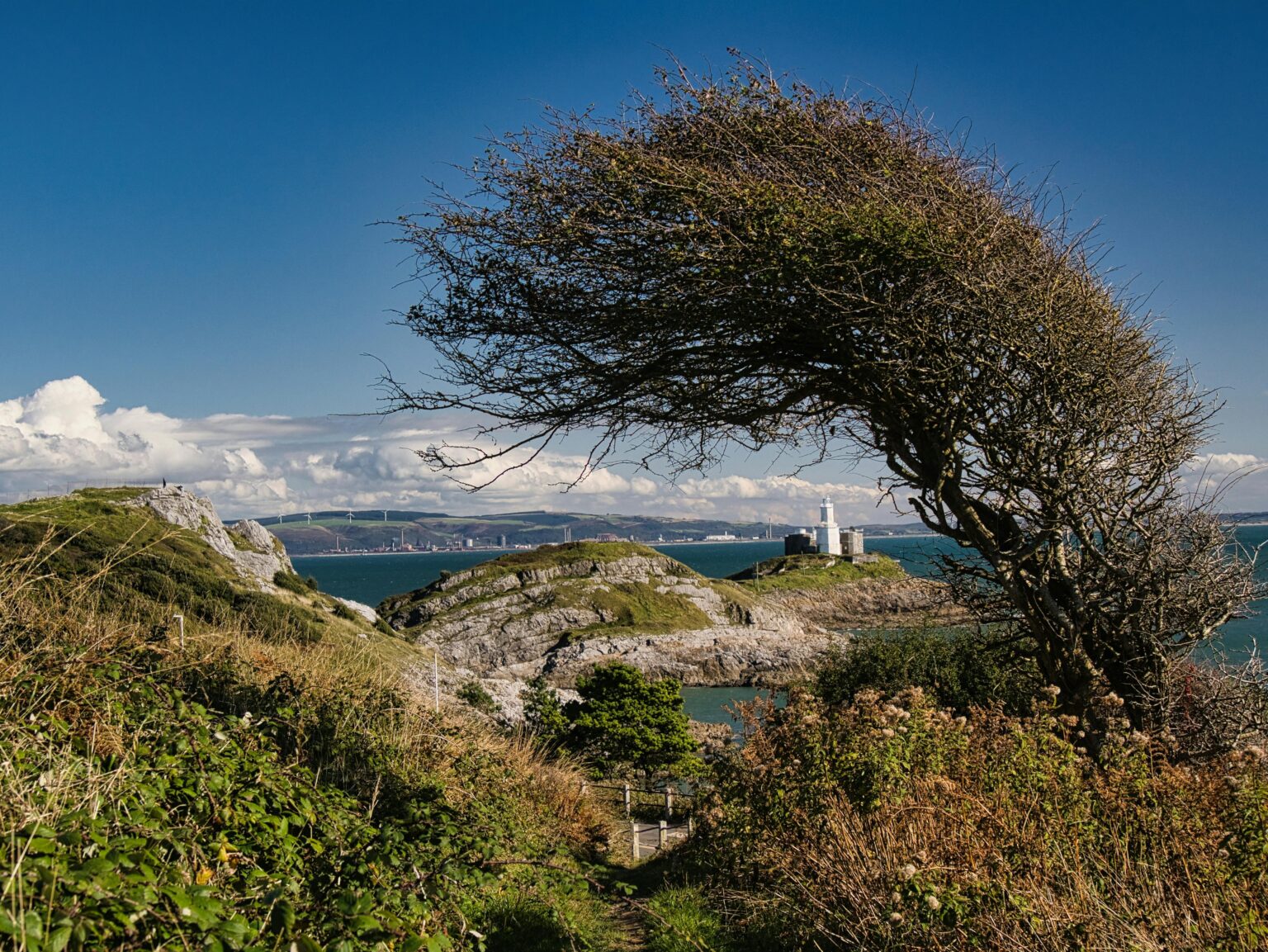 Hiking & Coastal Trails - Coast Swansea